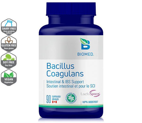 Bacillus Coagulans 90 capsules – Microcell Sciences